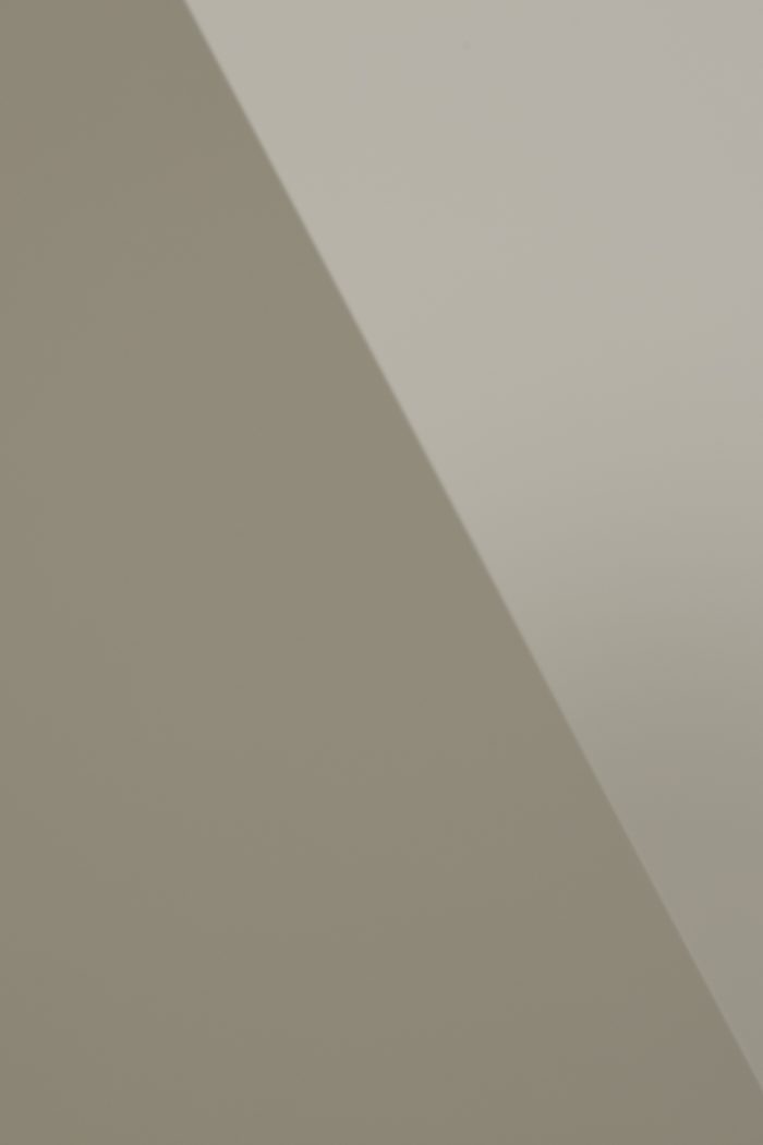 DuraLUX Premium by Duramar | PET Laminate Panels